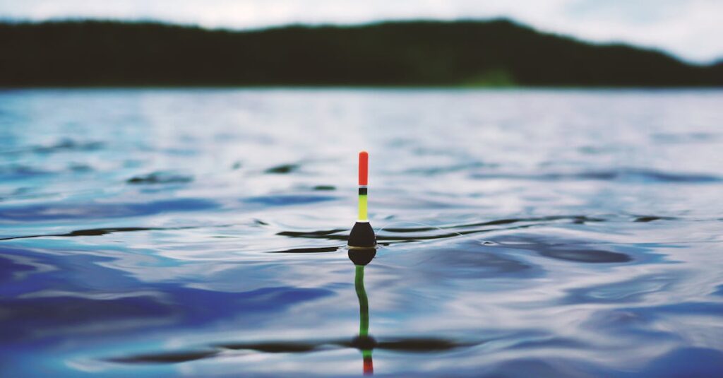 Pêche : votre premier pas dans un loisir fascinant